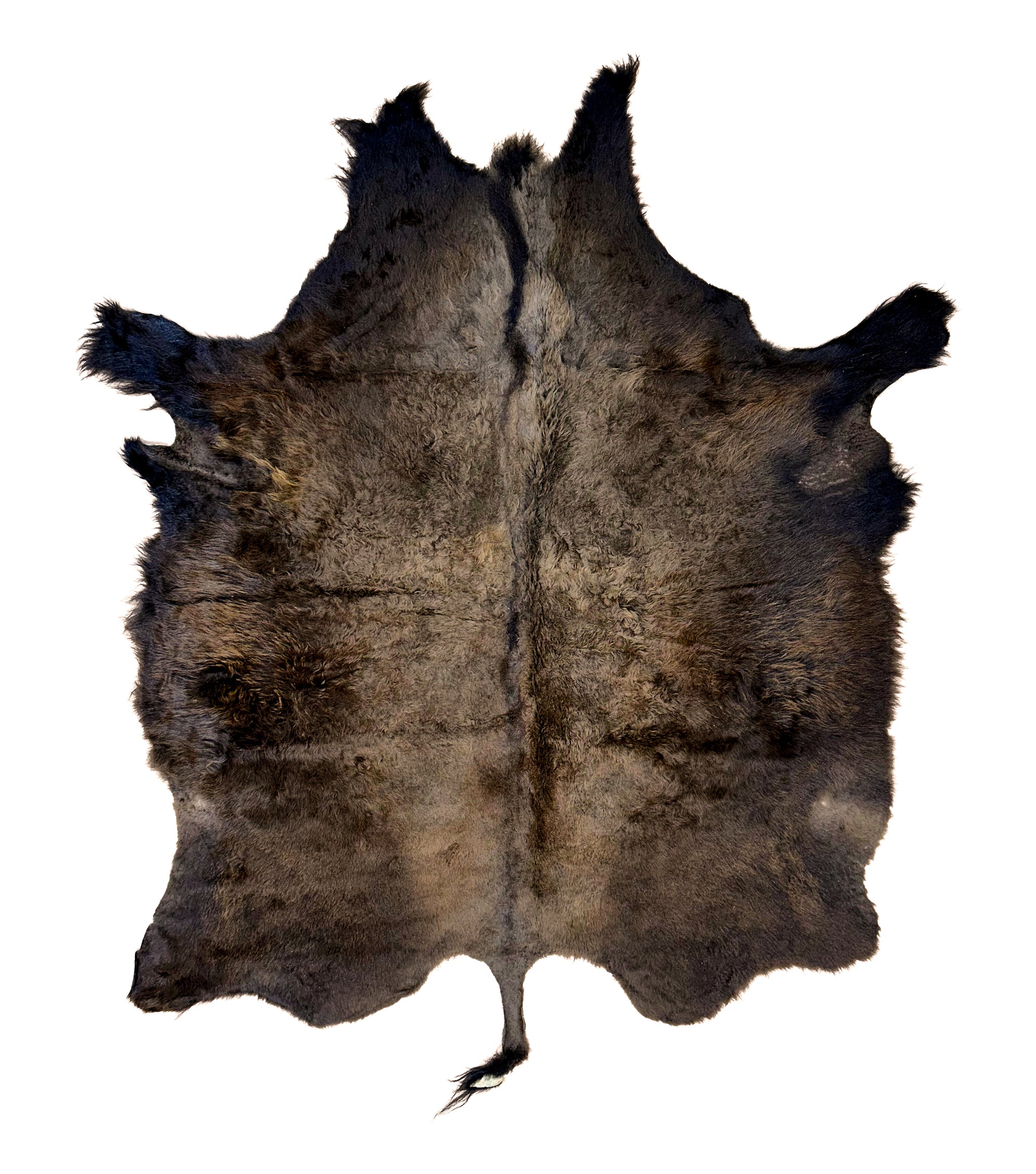 All Buffalo / Bison Hides — Buffalo Depot