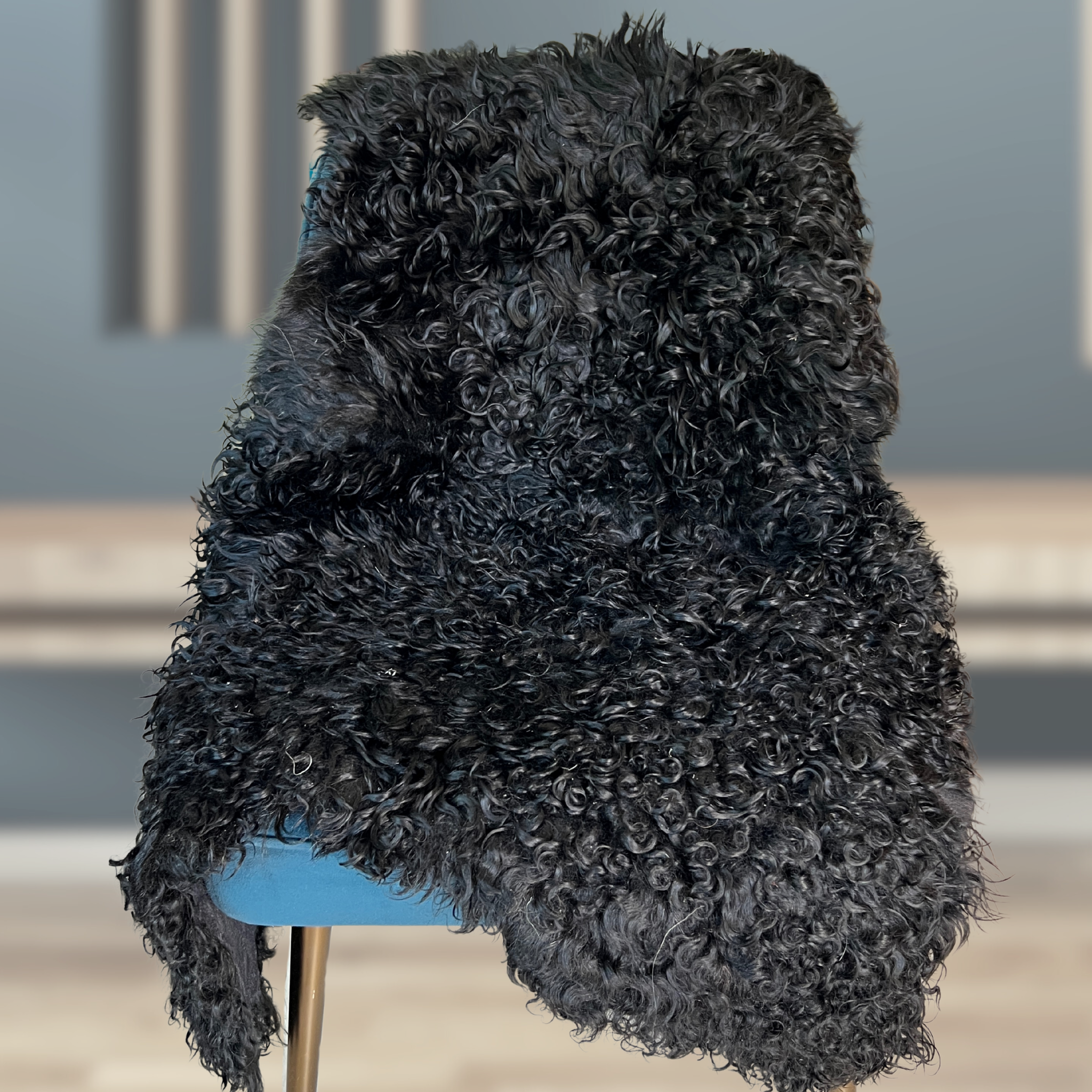 Premium Angora Goat Hides - Black — Buffalo Depot